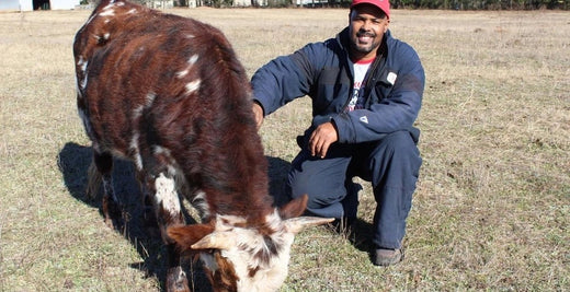 Hampton farmer raises grass-fed beef | Swanson Family Farm – Farmer Wayne Swanson