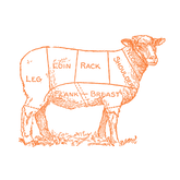 Lamb | Swanson Family Farm – Farmer Wayne Swanson