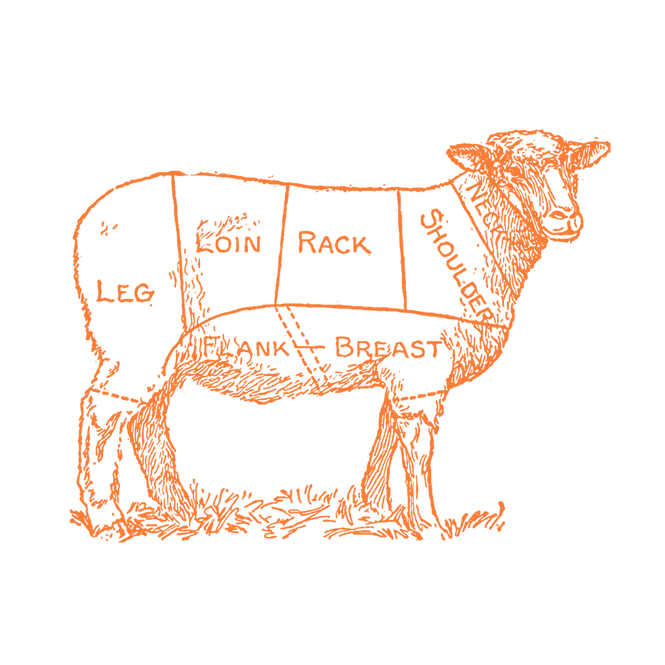 Lamb | Swanson Family Farm – Farmer Wayne Swanson